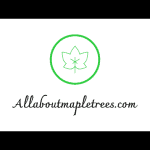 5 Types of Maple Trees in North Carolina – AllAboutMapleTrees.com